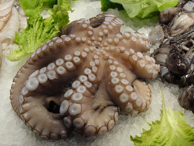 Recette de poulpe à la galicienne (« pulpo a la gallega »). Tapas ...