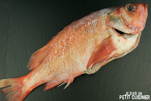 Recette de terrine de rascasse